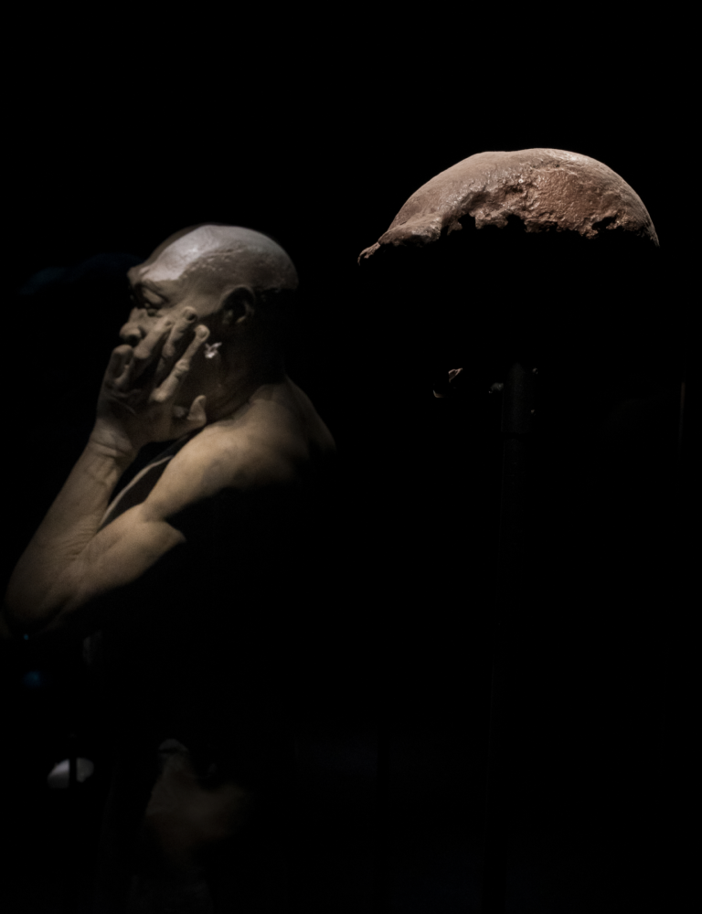 The Dubois Collection | Naturalis